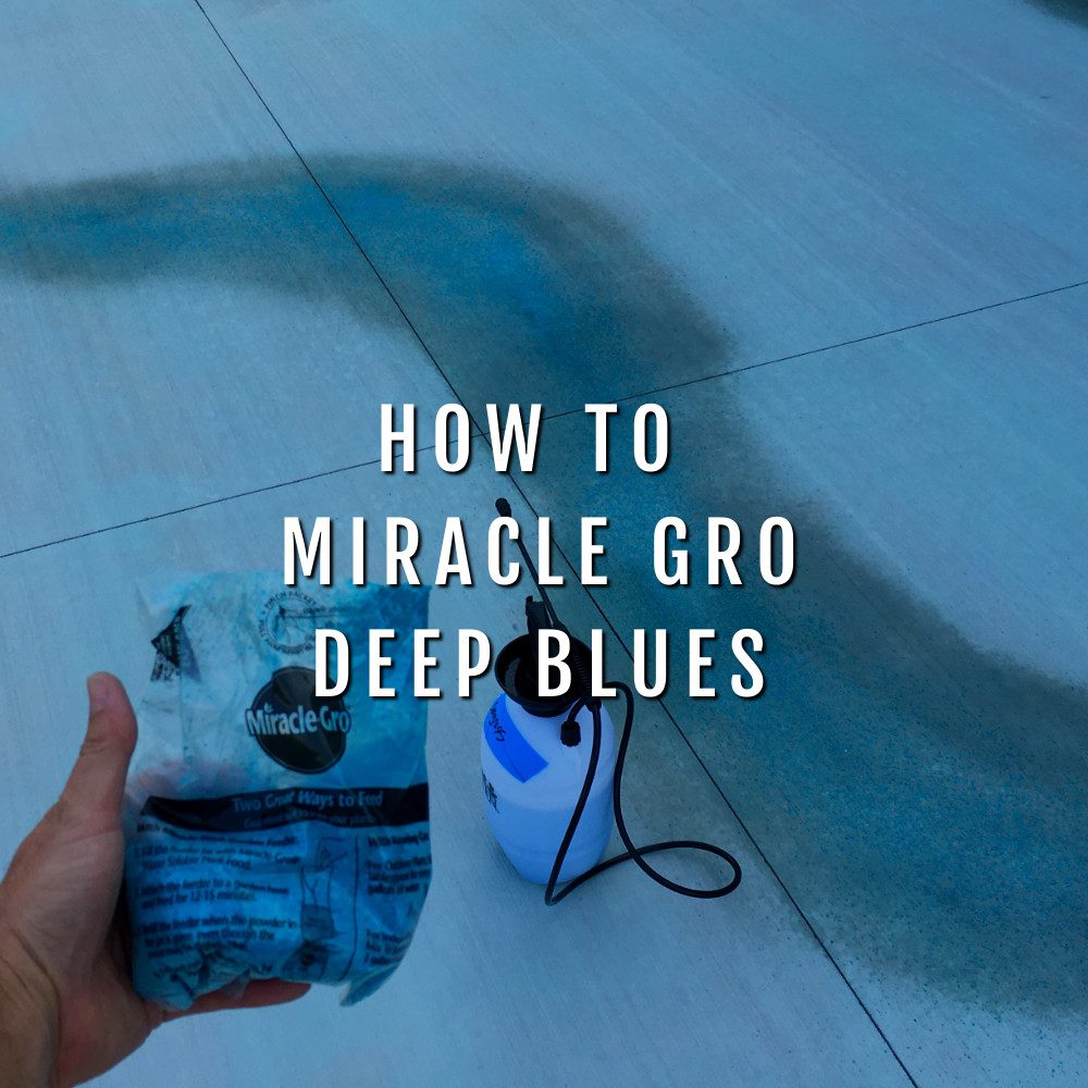 Amp Up Your Acid Stain with Miracle Gro | Direct Colors